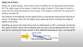 Basic Mechanism & Patterns of Flight in B | PPTX