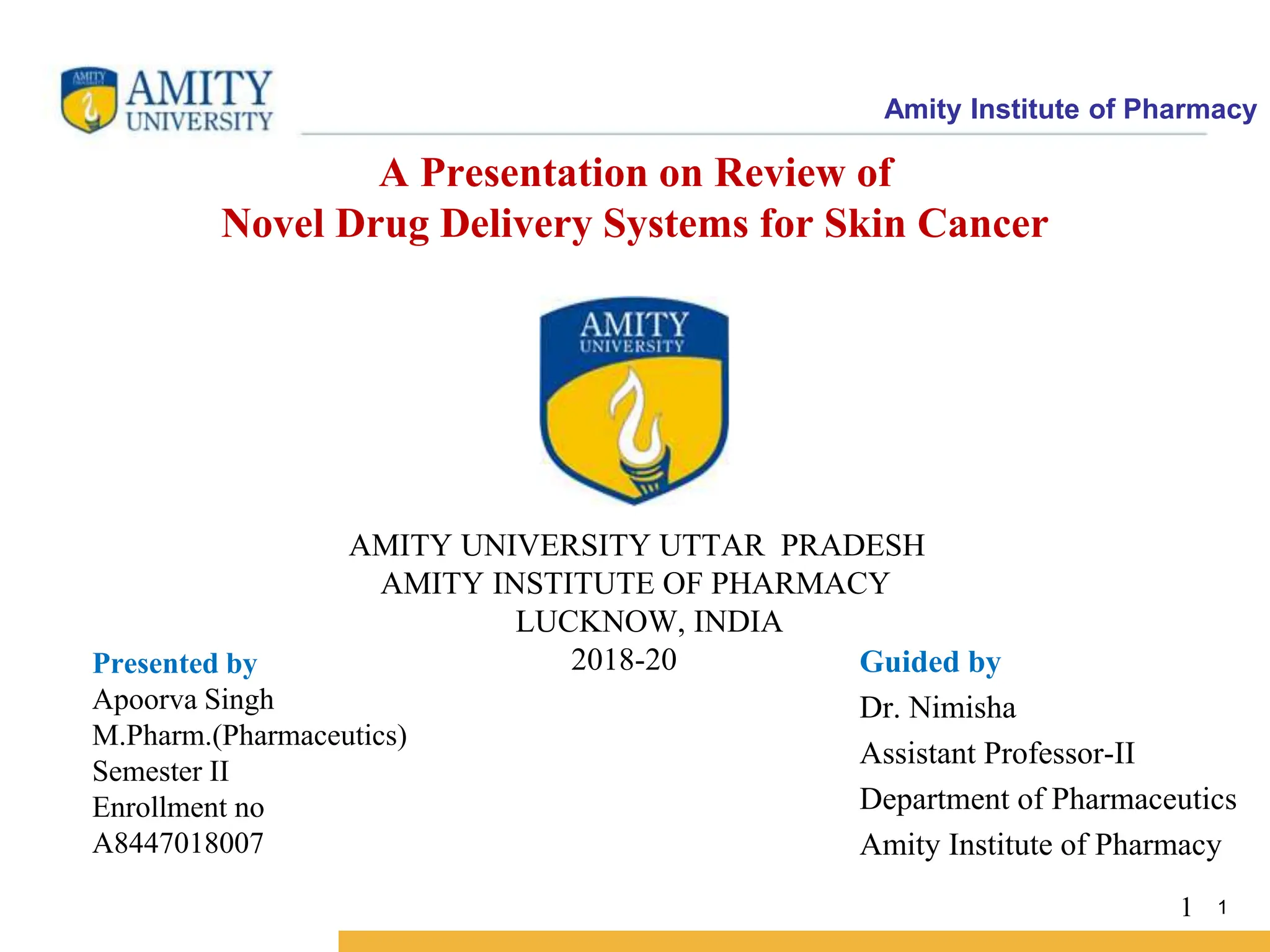 Novel drug delivery system for skin cancer | PPT