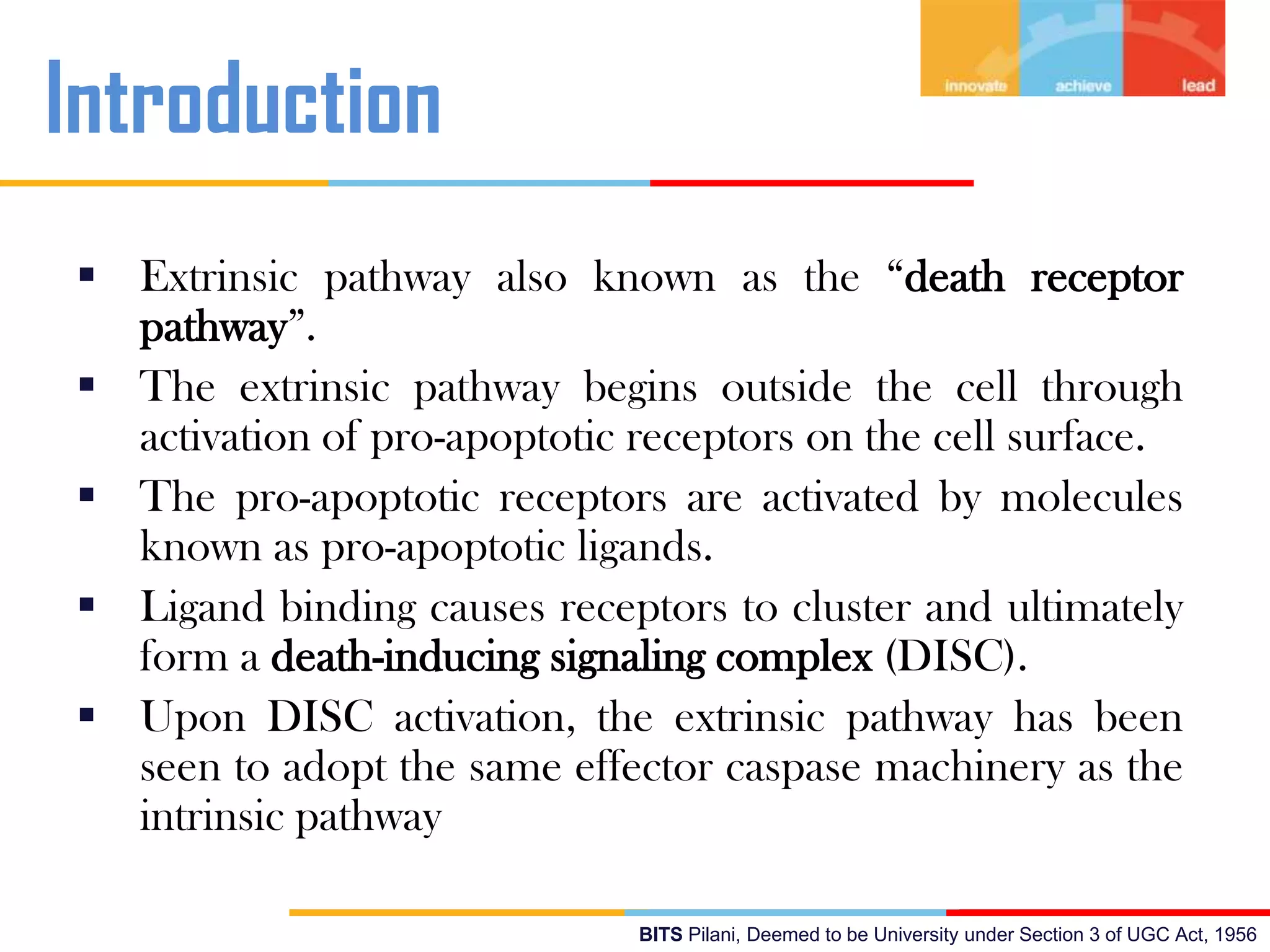 Apoptosis extrinsic mechanism | PPTX