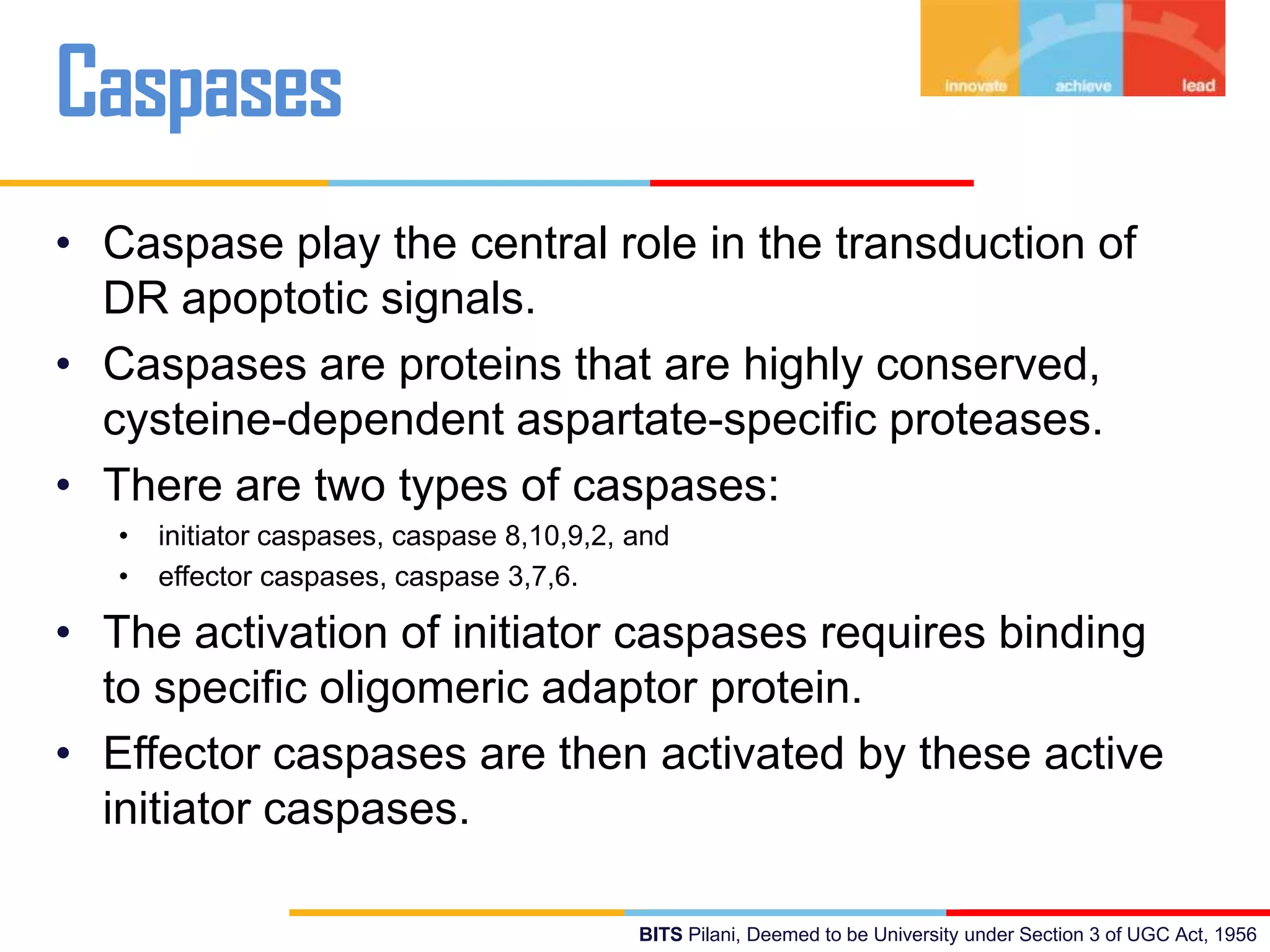 Apoptosis extrinsic mechanism | PPTX