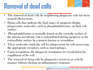 Apoptosis extrinsic mechanism | PPTX