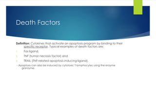 Apoptosis | PPTX