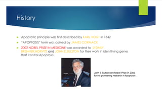 Apoptosis | PPTX