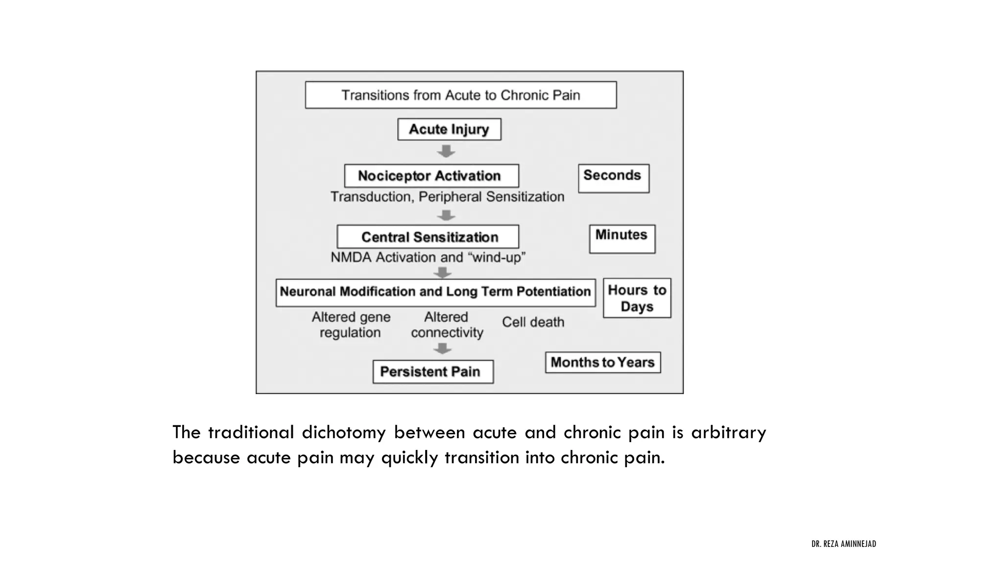 Acute Postoperative Pain Management | PDF