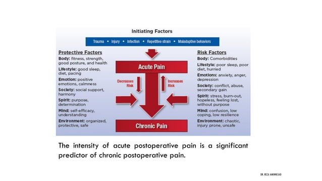 Acute Postoperative Pain Management | PDF