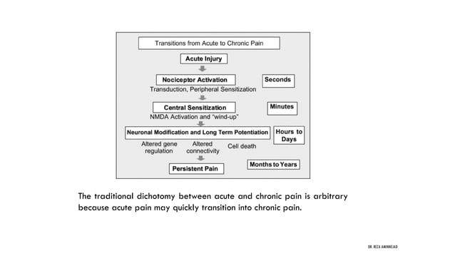 Acute Postoperative Pain Management | PDF