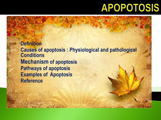 Apopotosis why and how ? | PPTX | Biological Sciences | Science