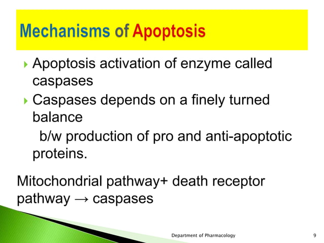 Apopotosis why and how ? | PPTX | Biological Sciences | Science