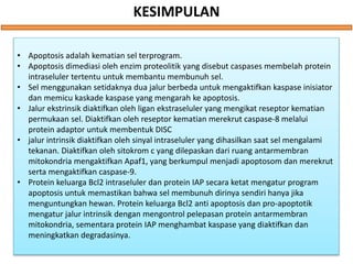 apoptopis ppt.pptx