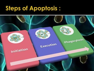 Apoptosis | PPTX