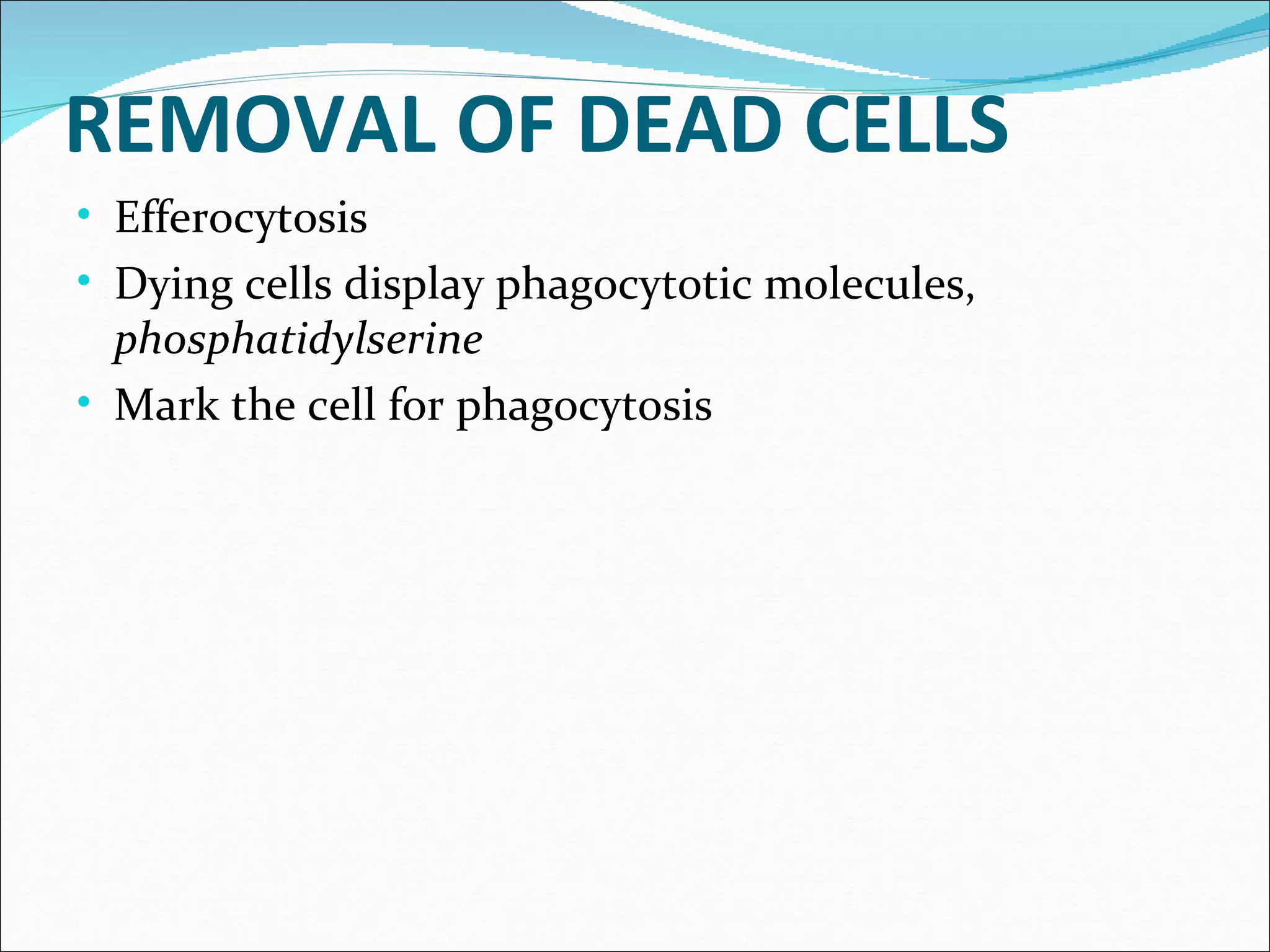 Apoptosis | PPT