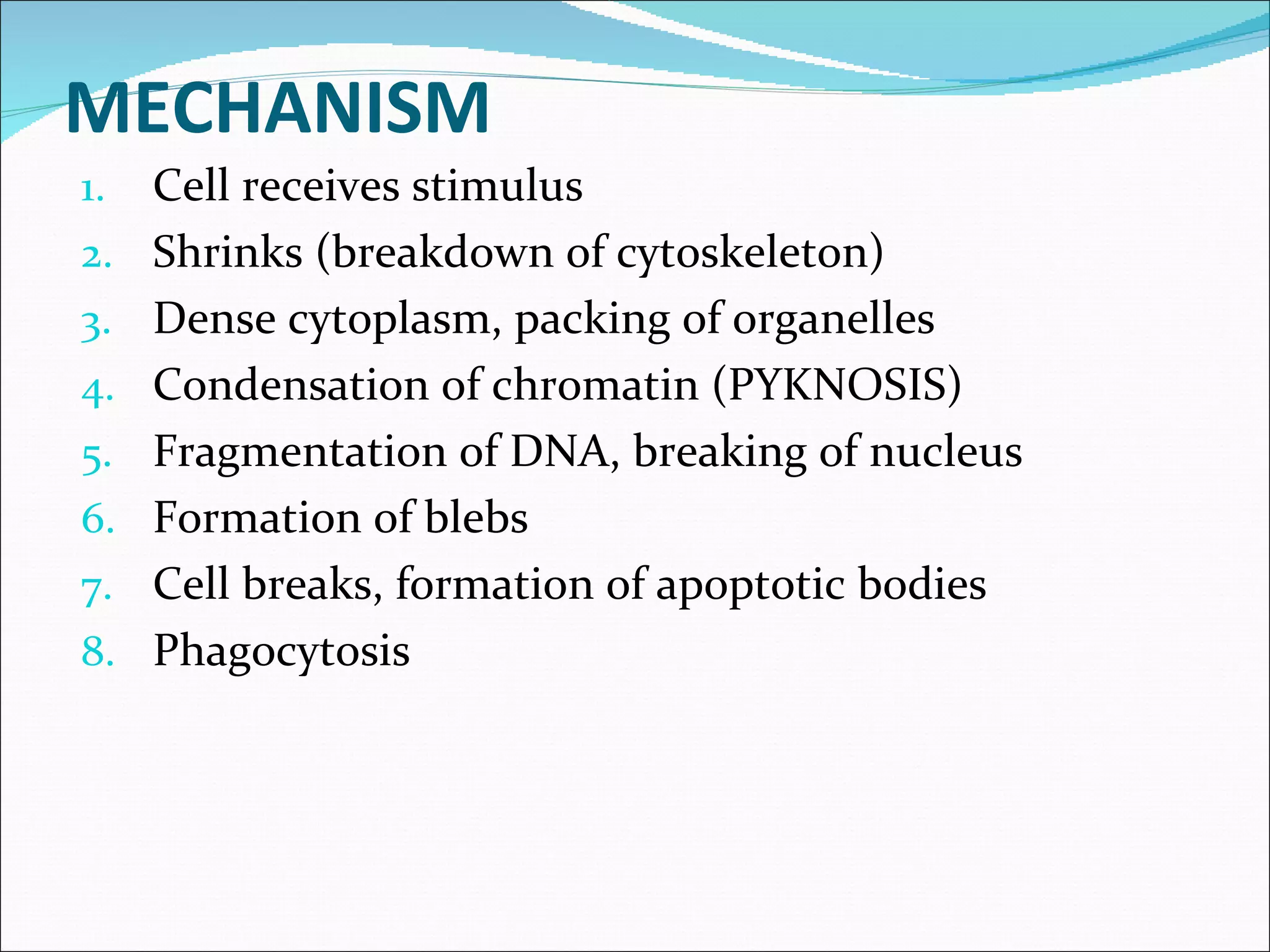 Apoptosis | PPT