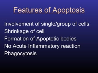 Apoptosis | PPT