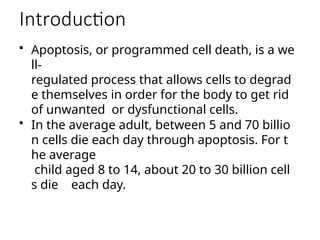 apoptosis pathology in description. pptx | PPTX