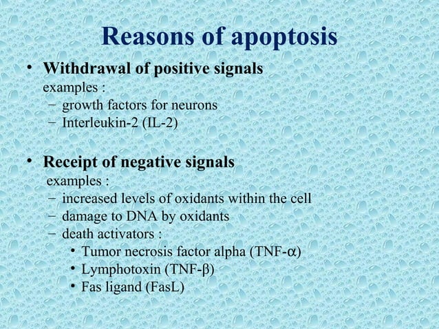 Apoptosis | PPT