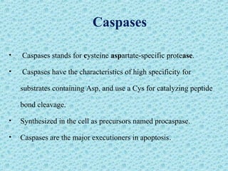 Apoptosis | PPT
