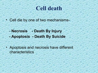 Apoptosis | PPT
