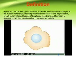 Apoptosis | PPT