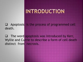 Apoptosis | PPTX