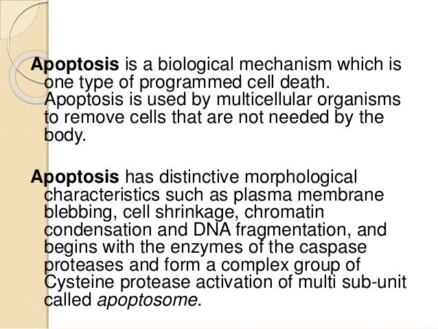 Apoptosis.ppt