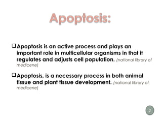 Apoptosis | PPS
