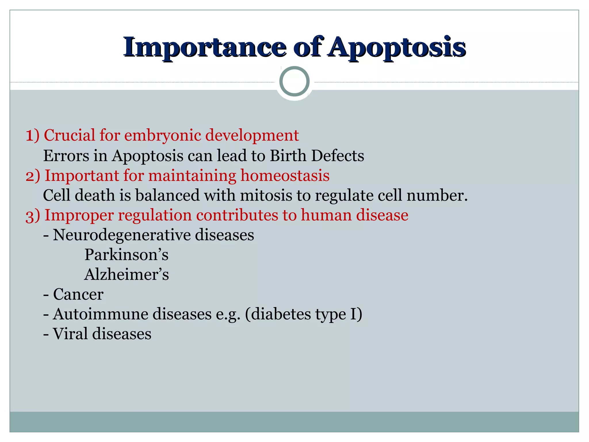 Apoptosis | PPT