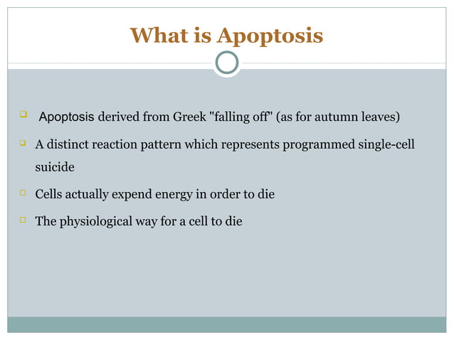 Apoptosis | PPT | Genetics | Science