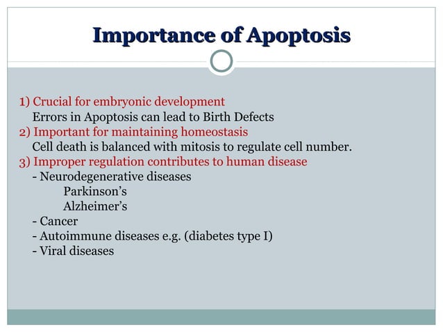 Apoptosis | PPT | Genetics | Science