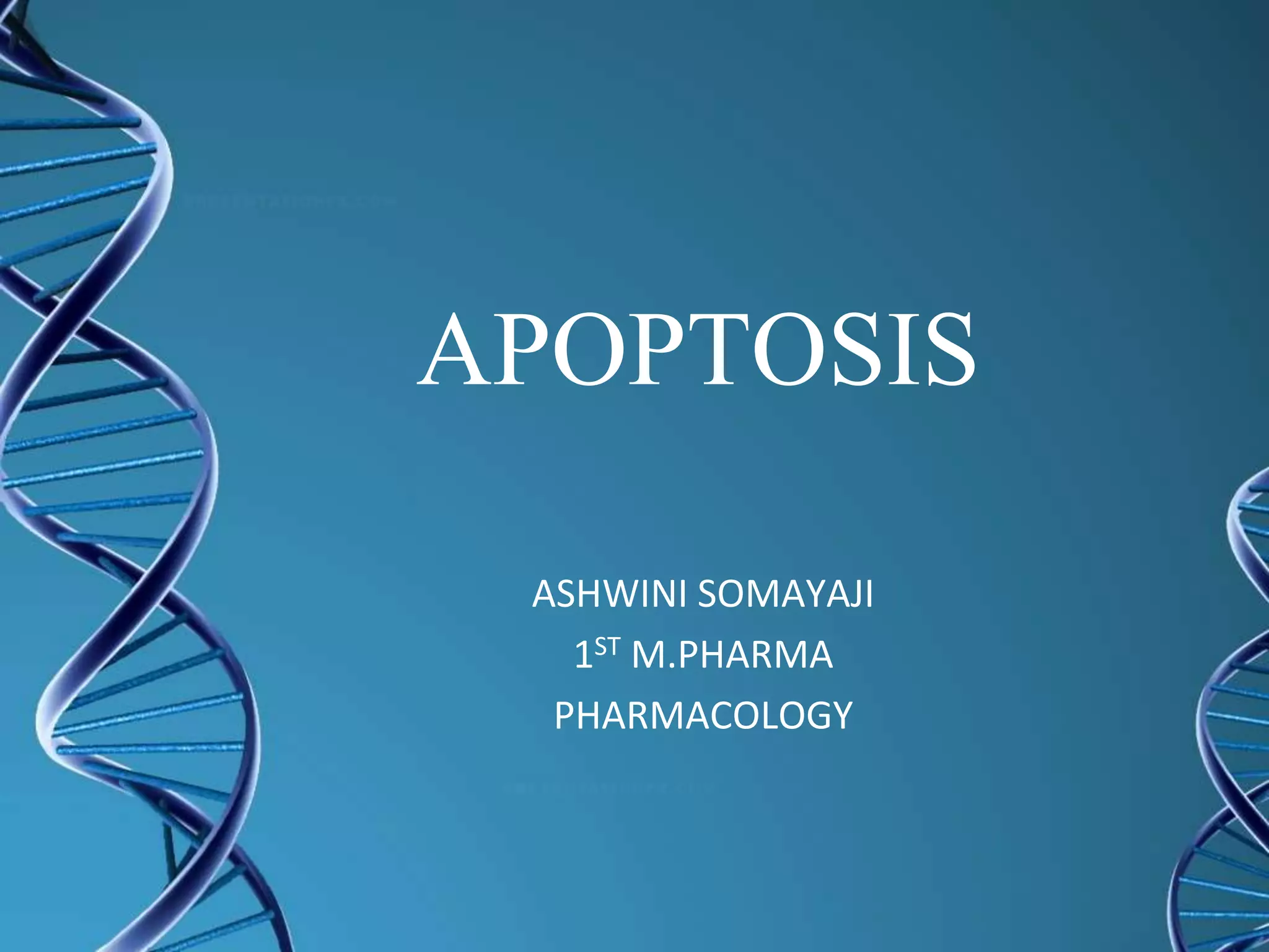 Apoptosis | PPTX