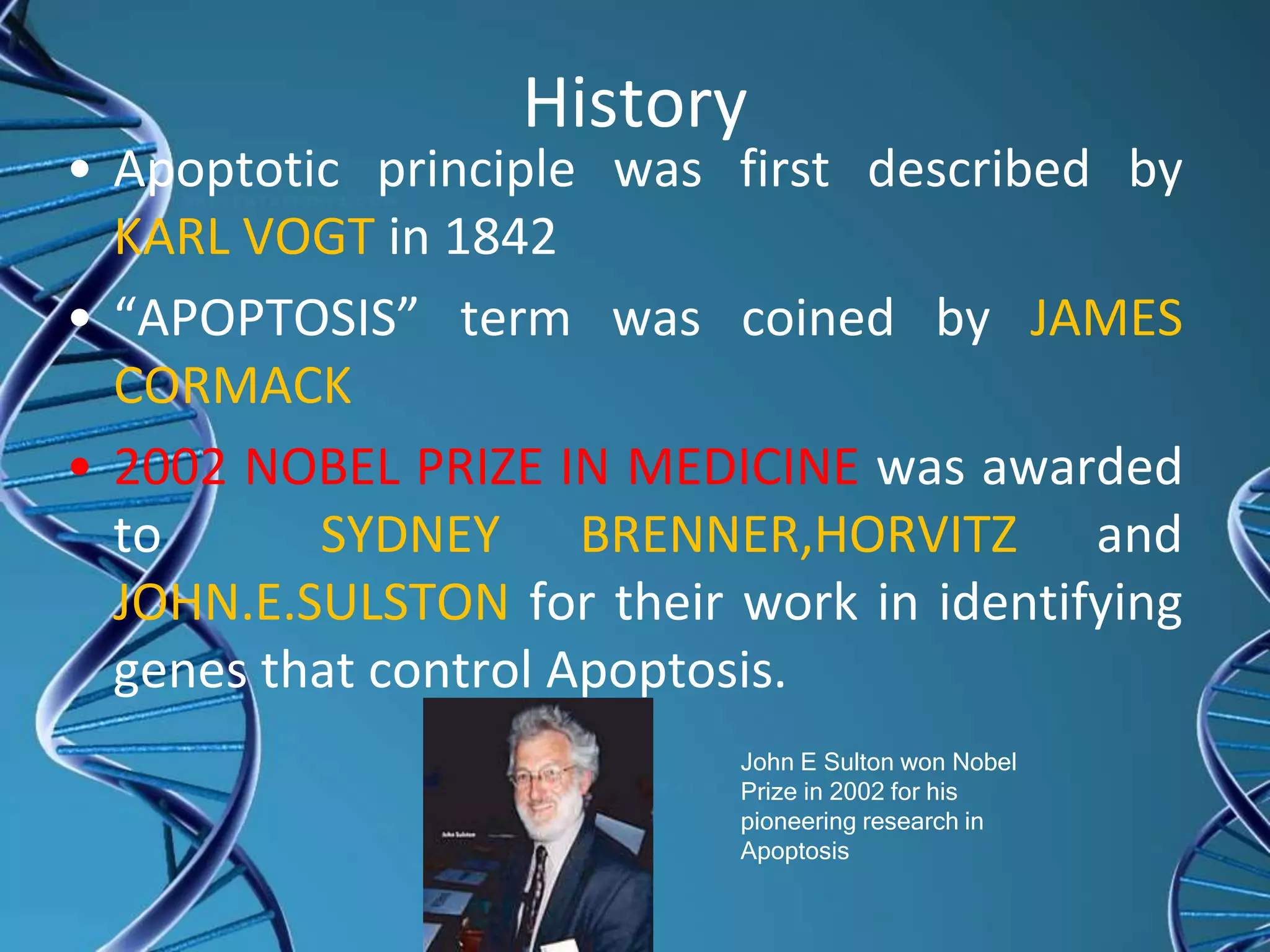 Apoptosis | PPTX