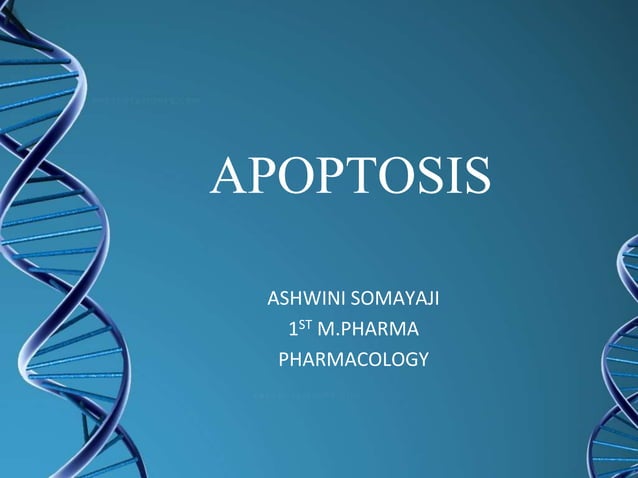 Apoptosis | PPTX