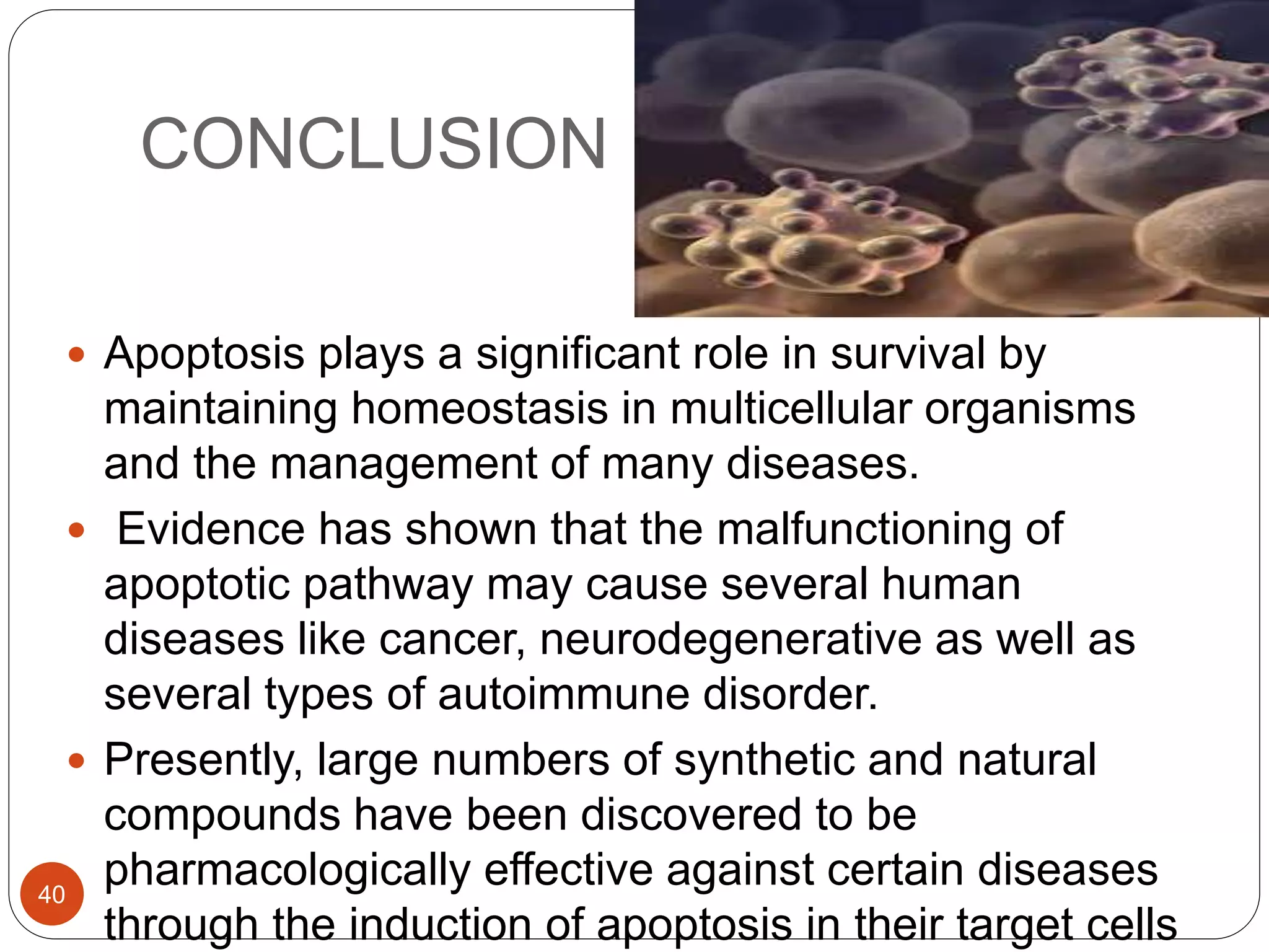 Apoptosis | PPTX | Biological Sciences | Science