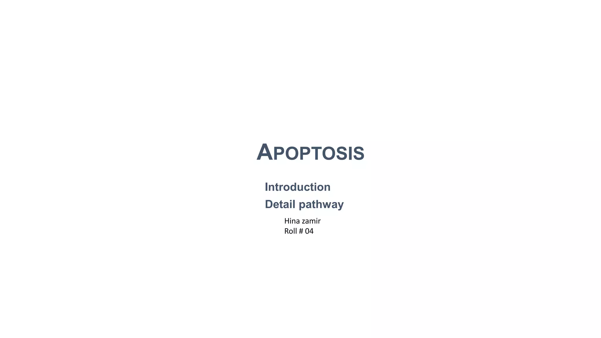 Apoptosis | PPTX