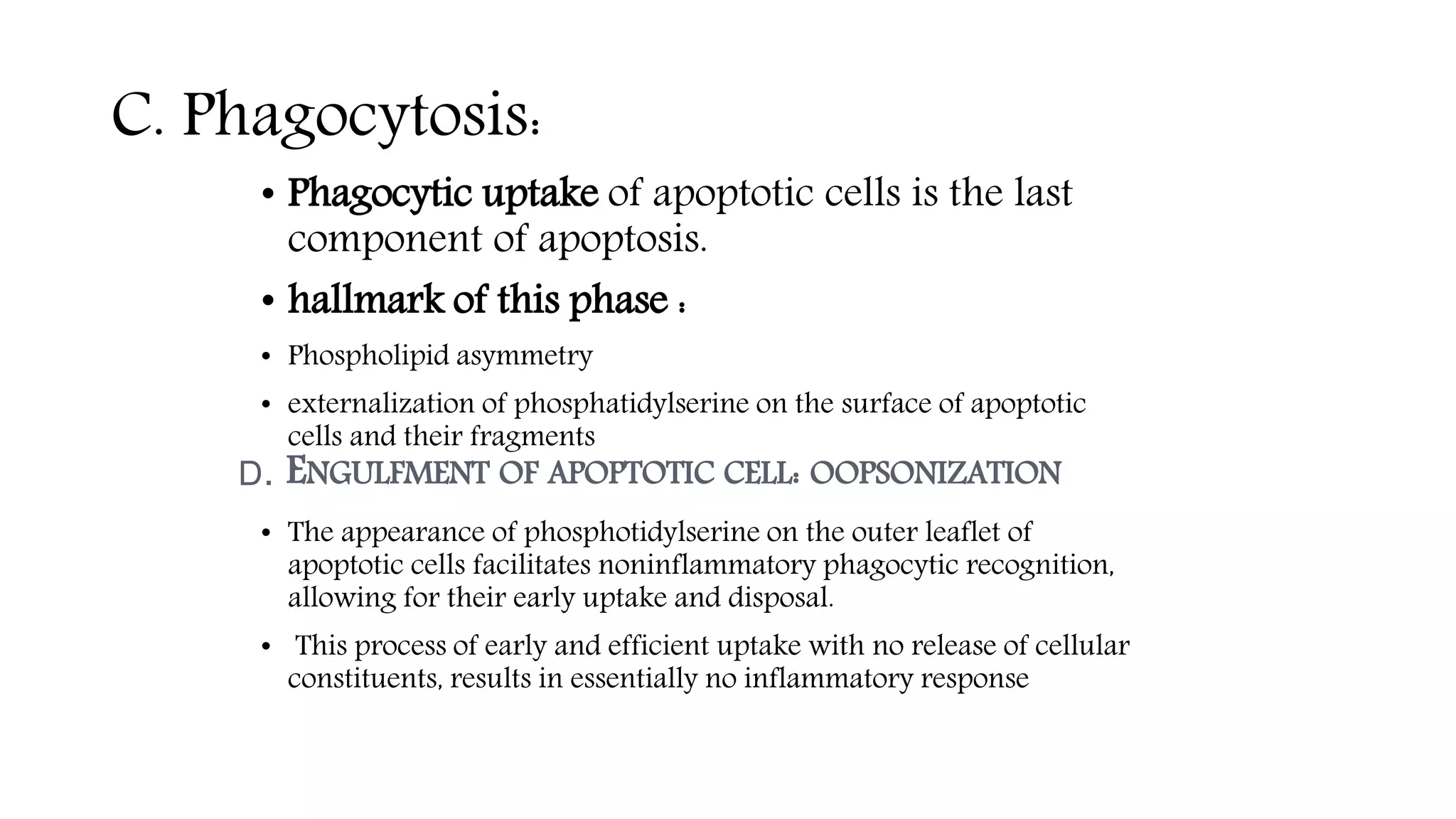 Apoptosis | PPTX