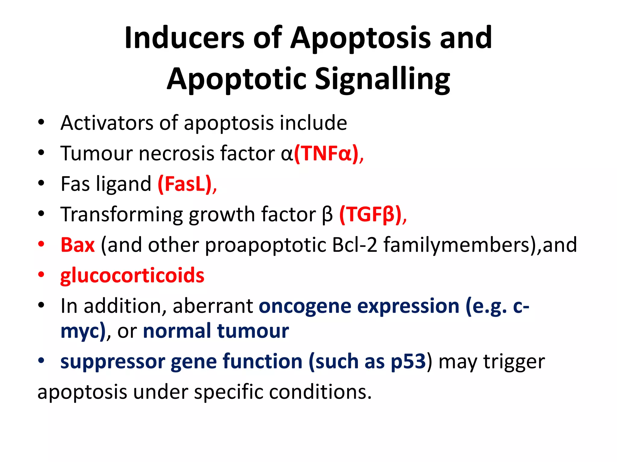 Apoptosis | PPTX