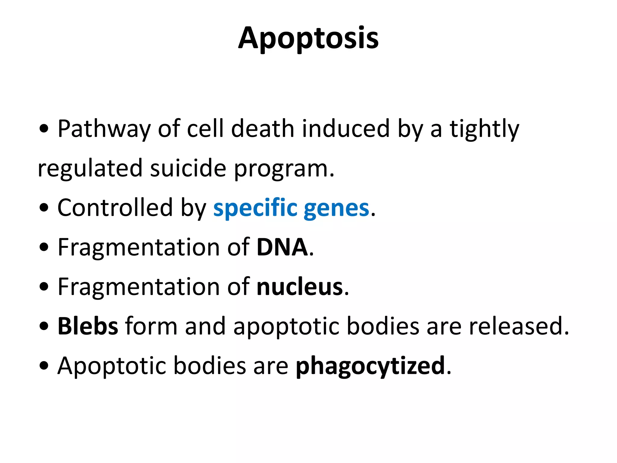 Apoptosis | PPTX