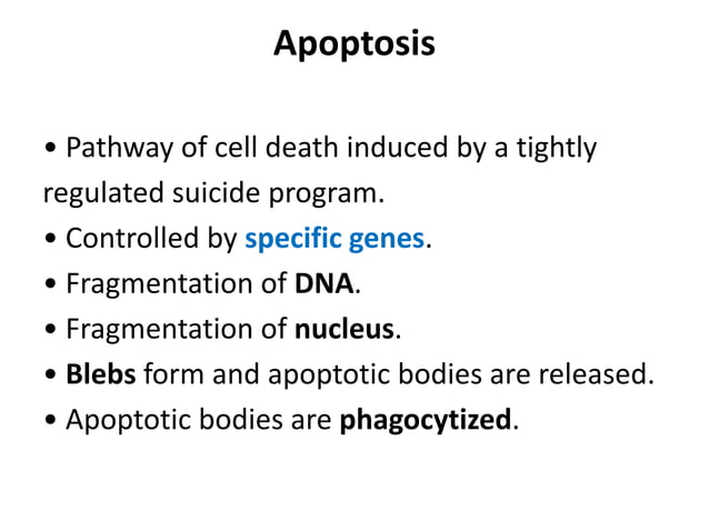 Apoptosis | PPTX