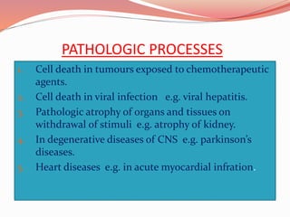 Apoptosis | PPTX