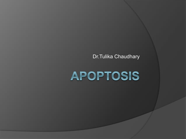Apoptosis | PPT