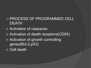 Apoptosis | PPT