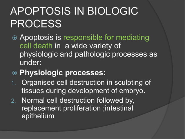 Apoptosis | PPT