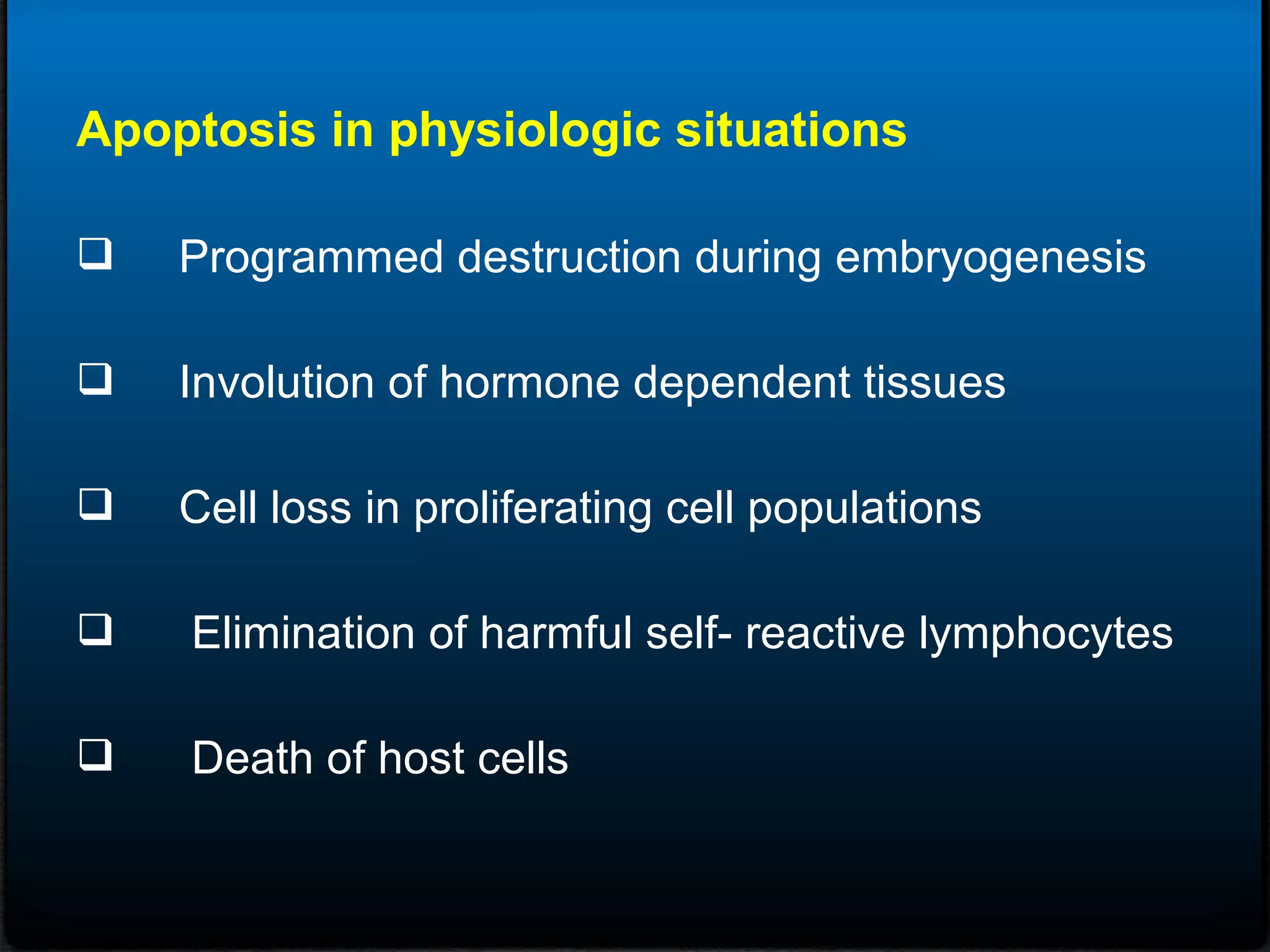Apoptosis | PPT