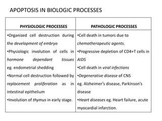 cell injury | PPT