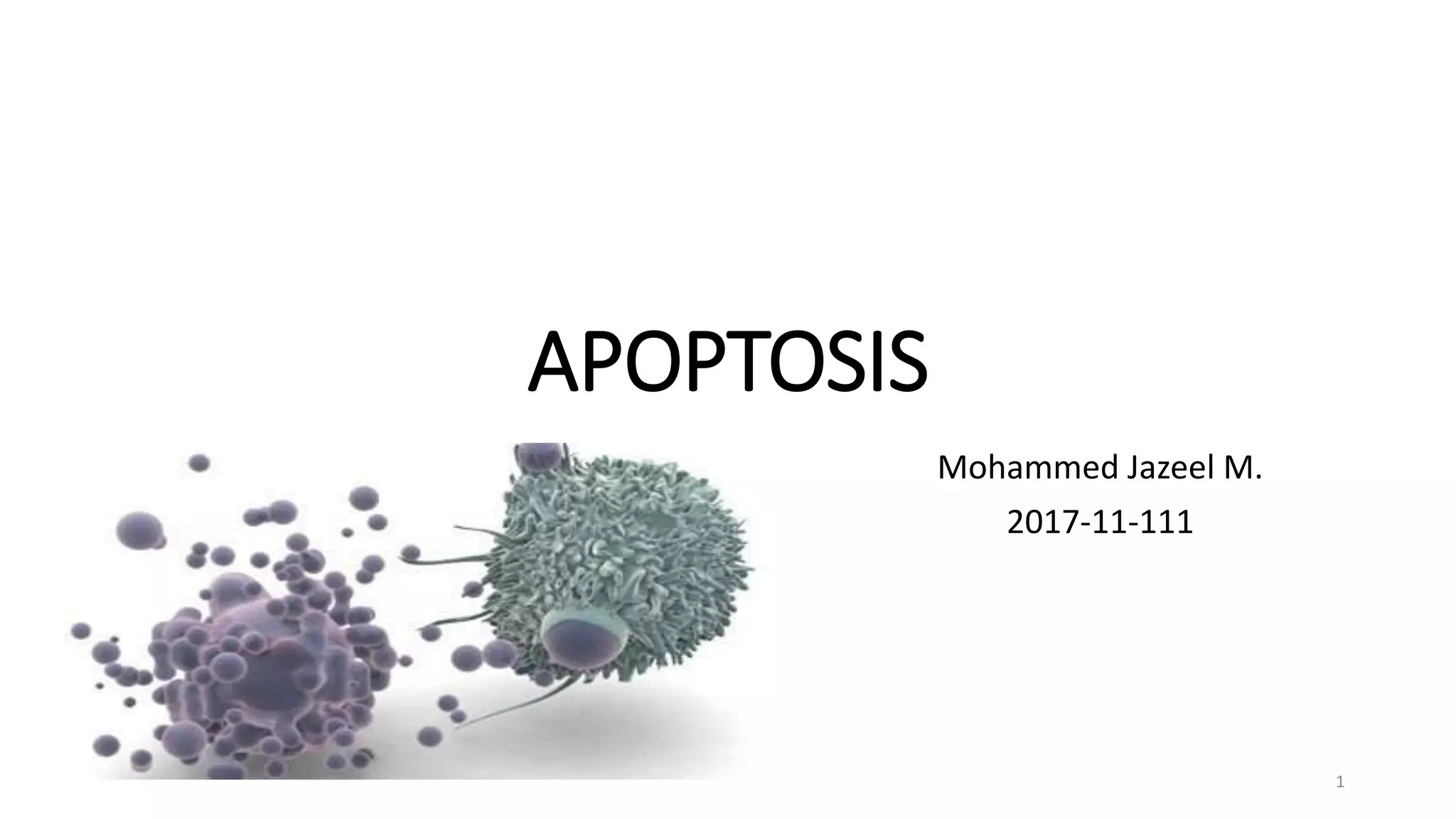 Apoptosis | PPT