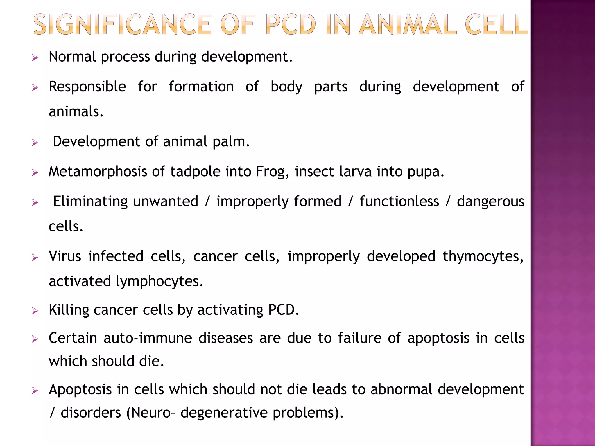 Apoptosis | PDF | Chemistry | Science