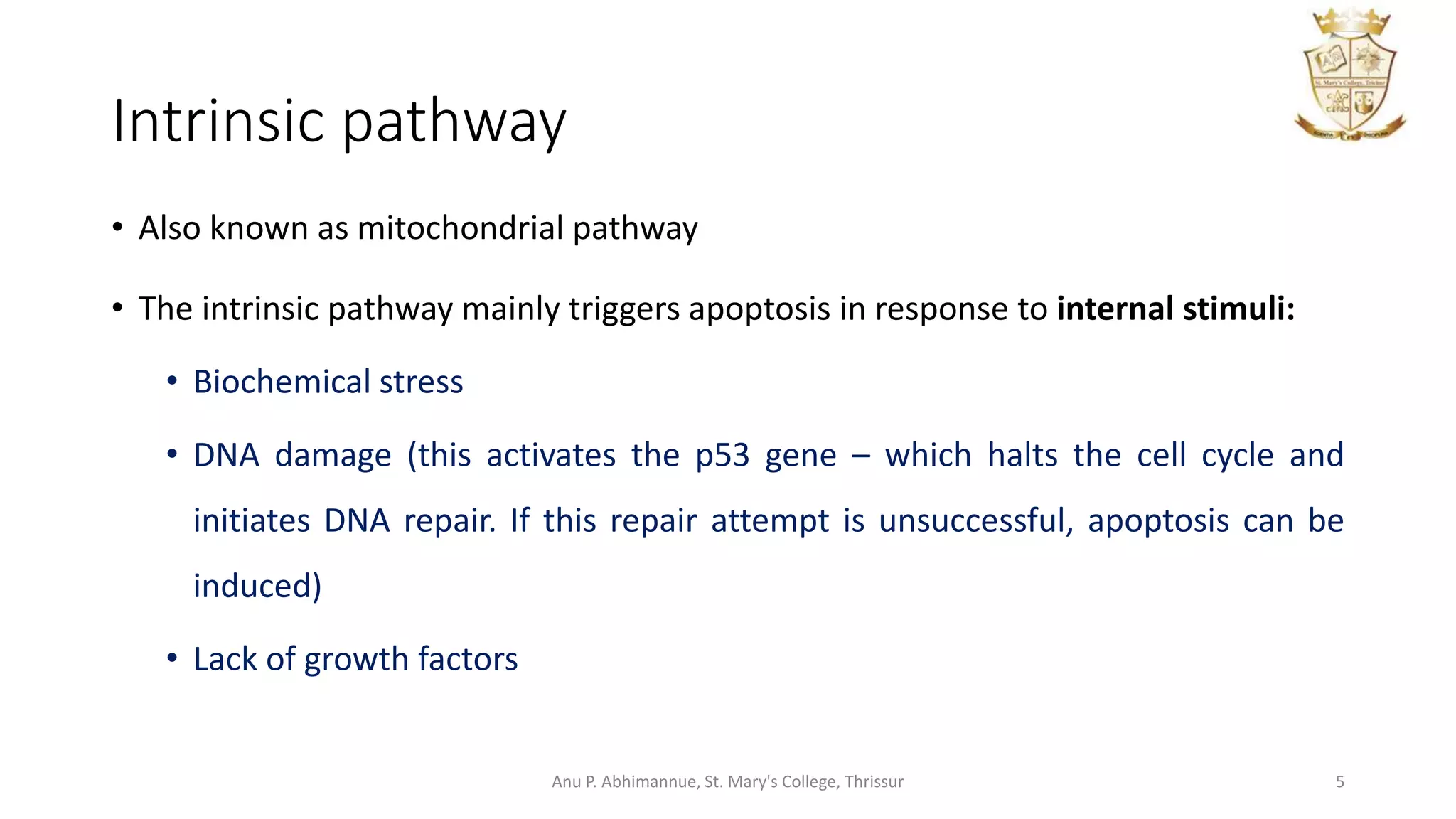Apoptosis | PPTX
