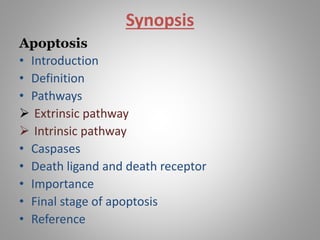 Apoptosis | PPTX
