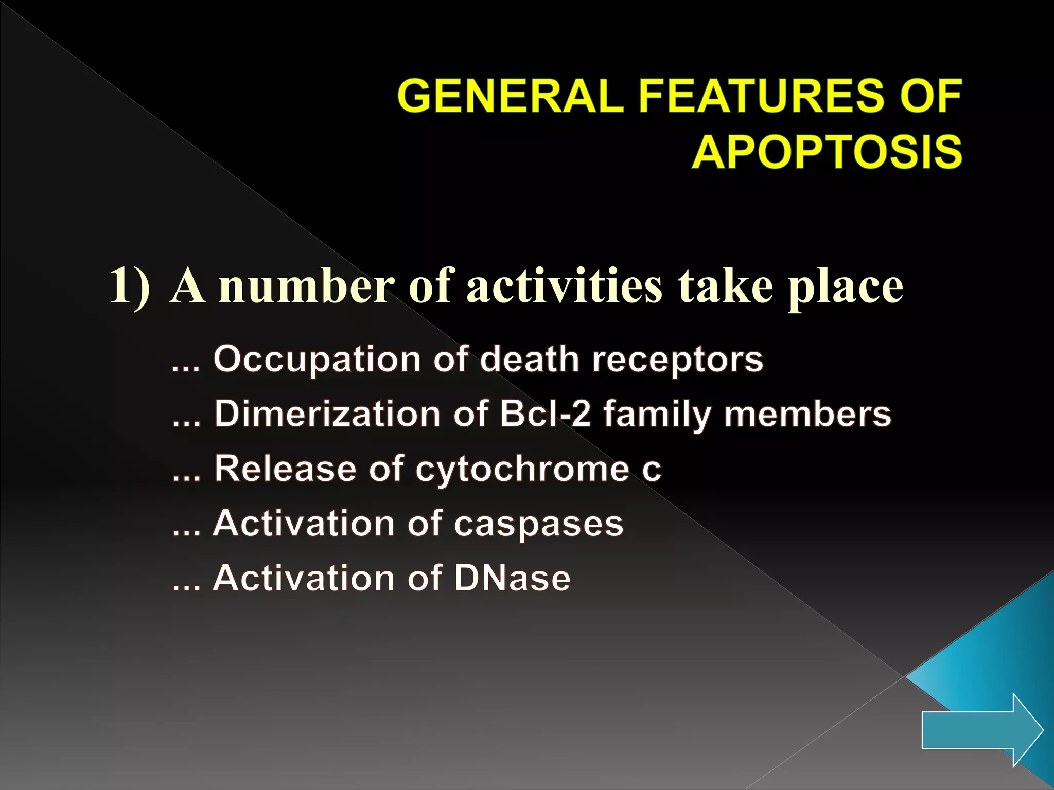 Apoptosis | PPT