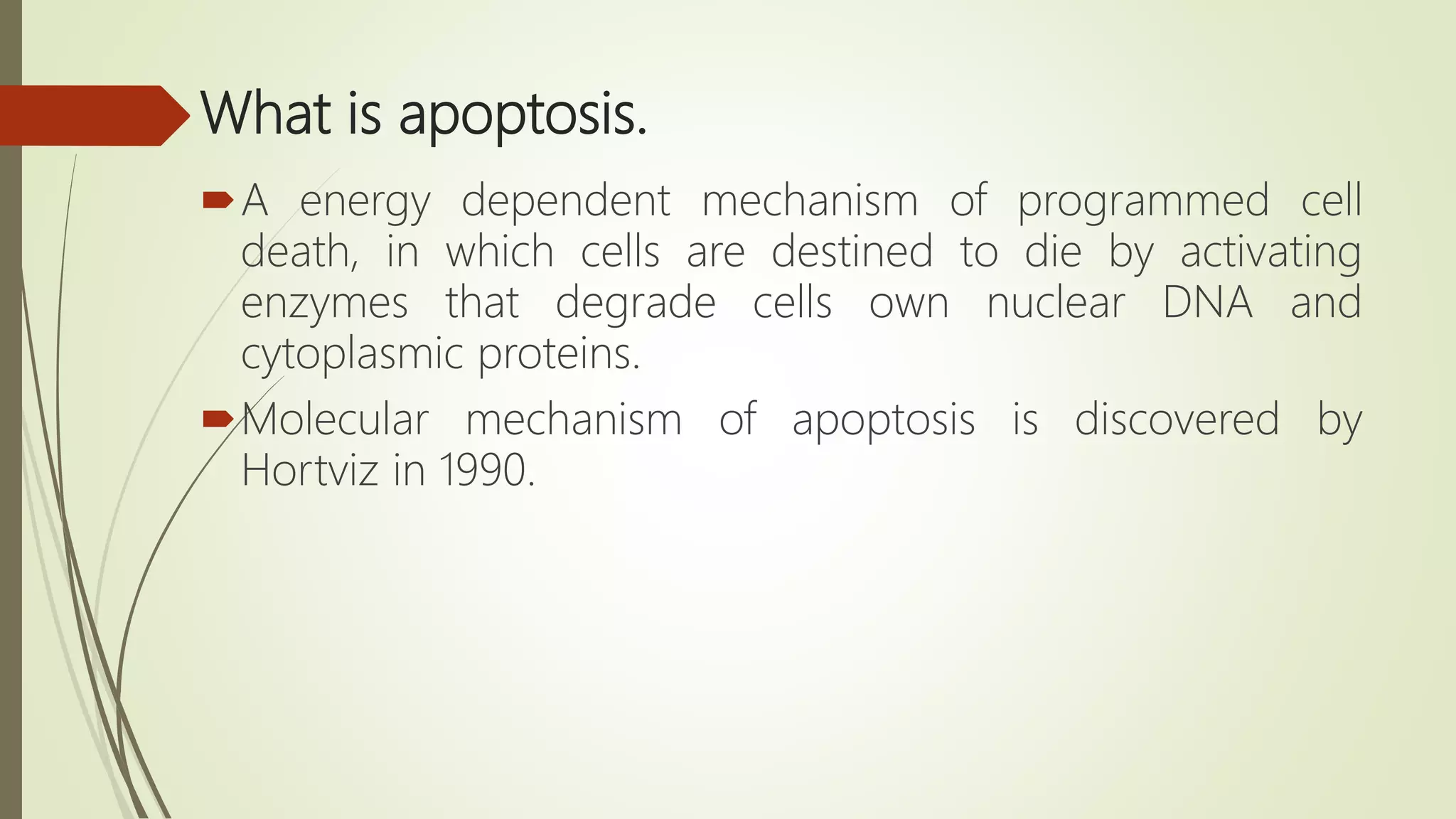 Apoptosis | PPTX
