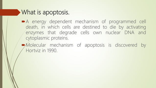 Apoptosis | PPT